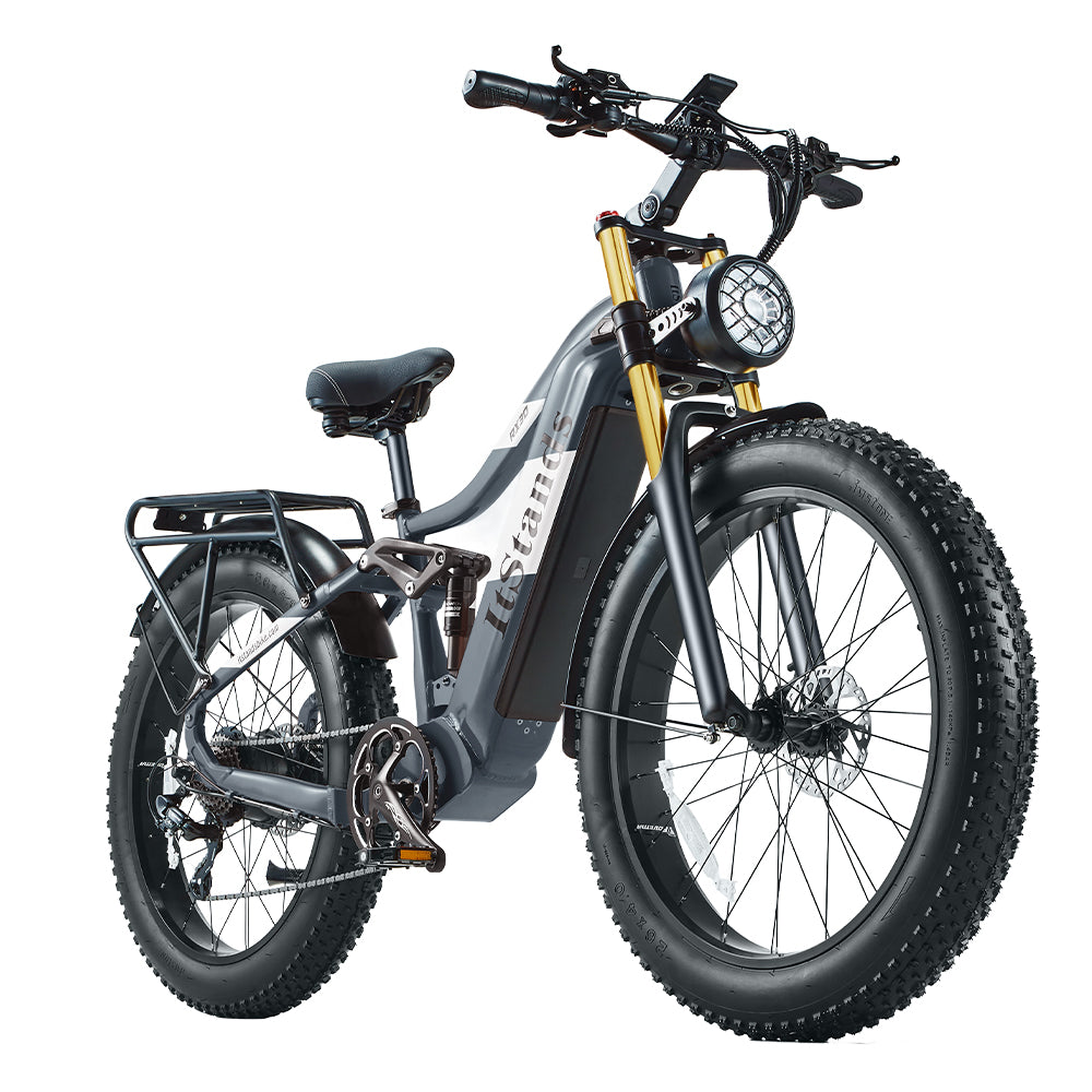 Itstands RX30 Long Range Mountain eBike | 1000W 48V 30Ah | High ...